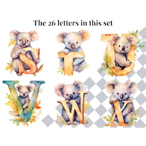 Koala Clipart Animal Alphabet Letters PNG for Instant Download ...