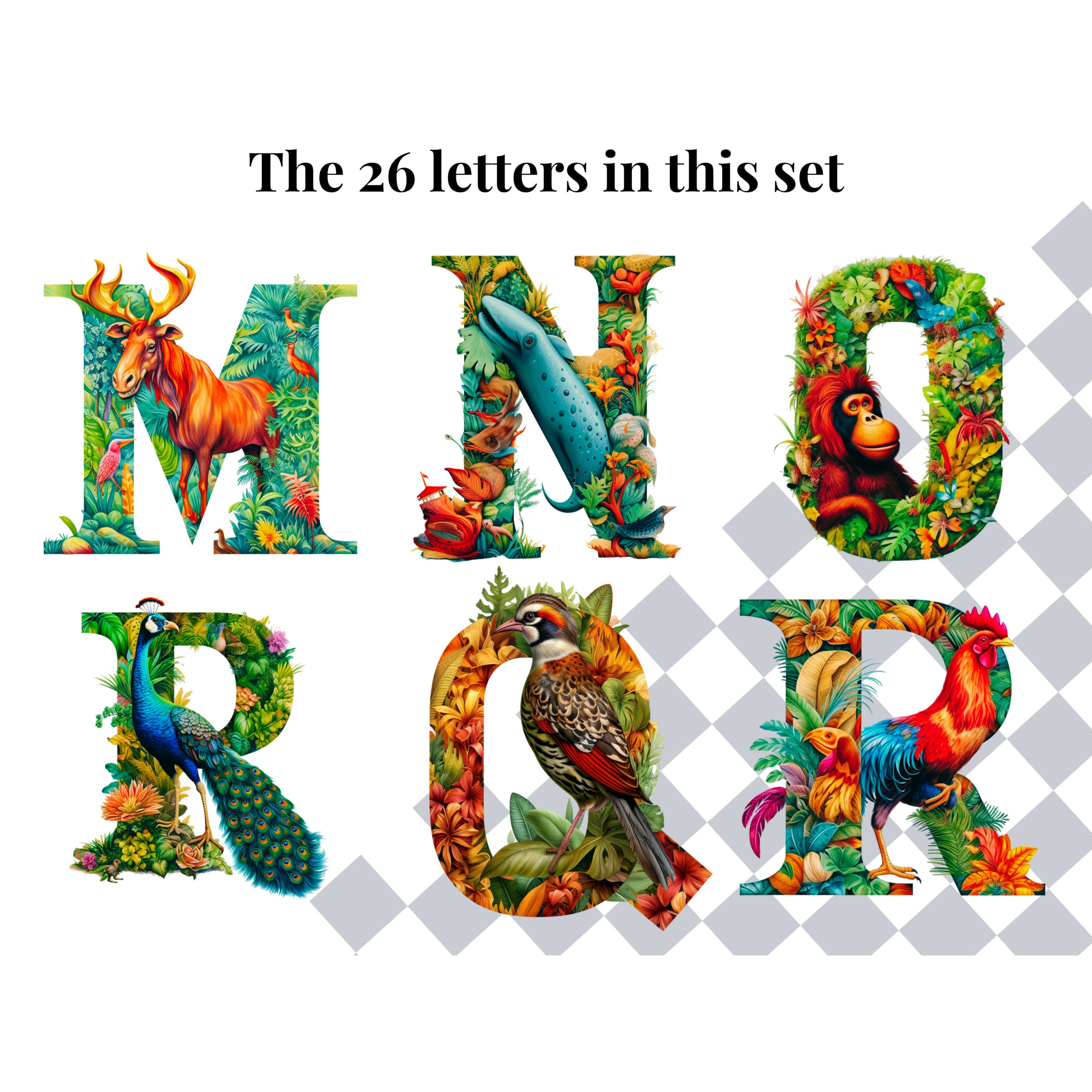 Jungle Animal Alphabet Clipart Commercial Use Digital Art for Banners ...