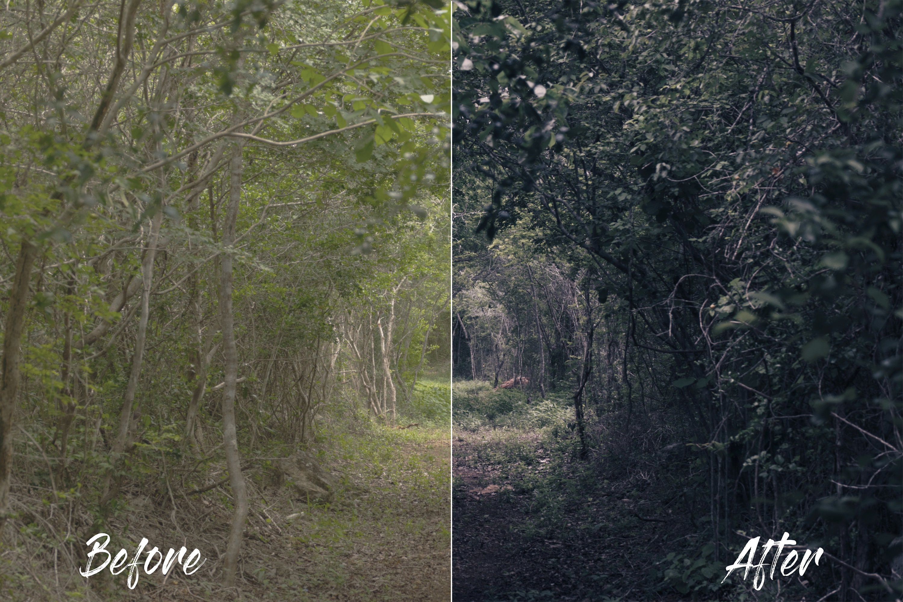 20 London Luts for Video and Photo Color Grading Video Luts for ...