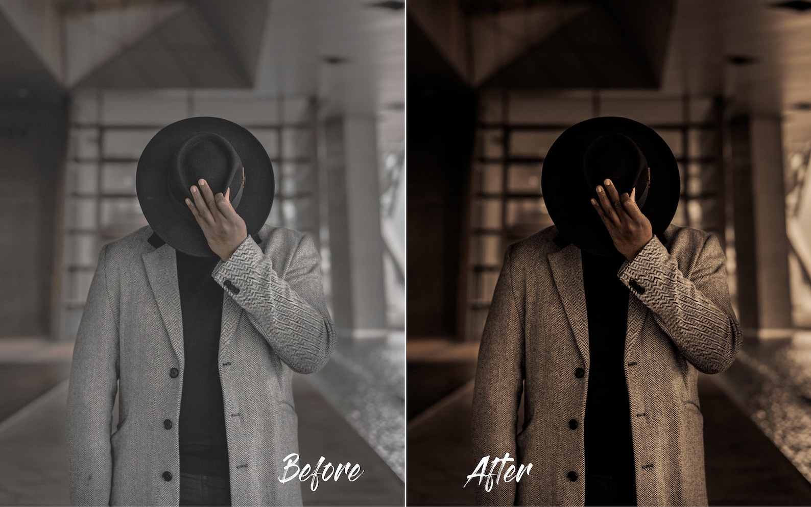 20 Coffee Luts for Video and Photo Color Grading Video Luts for ...