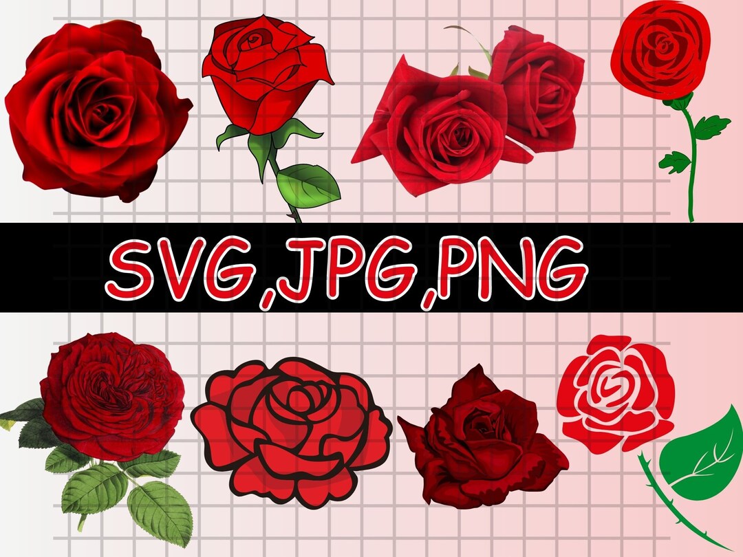 Red Rose SVG Rose SVG Bundle Red Rose Clipart Roses - Etsy Australia