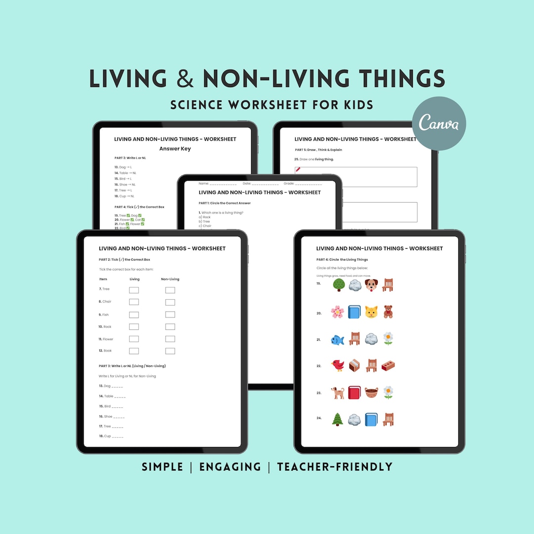 Living and Non-living Things Worksheet | Science Activity for Kids ...