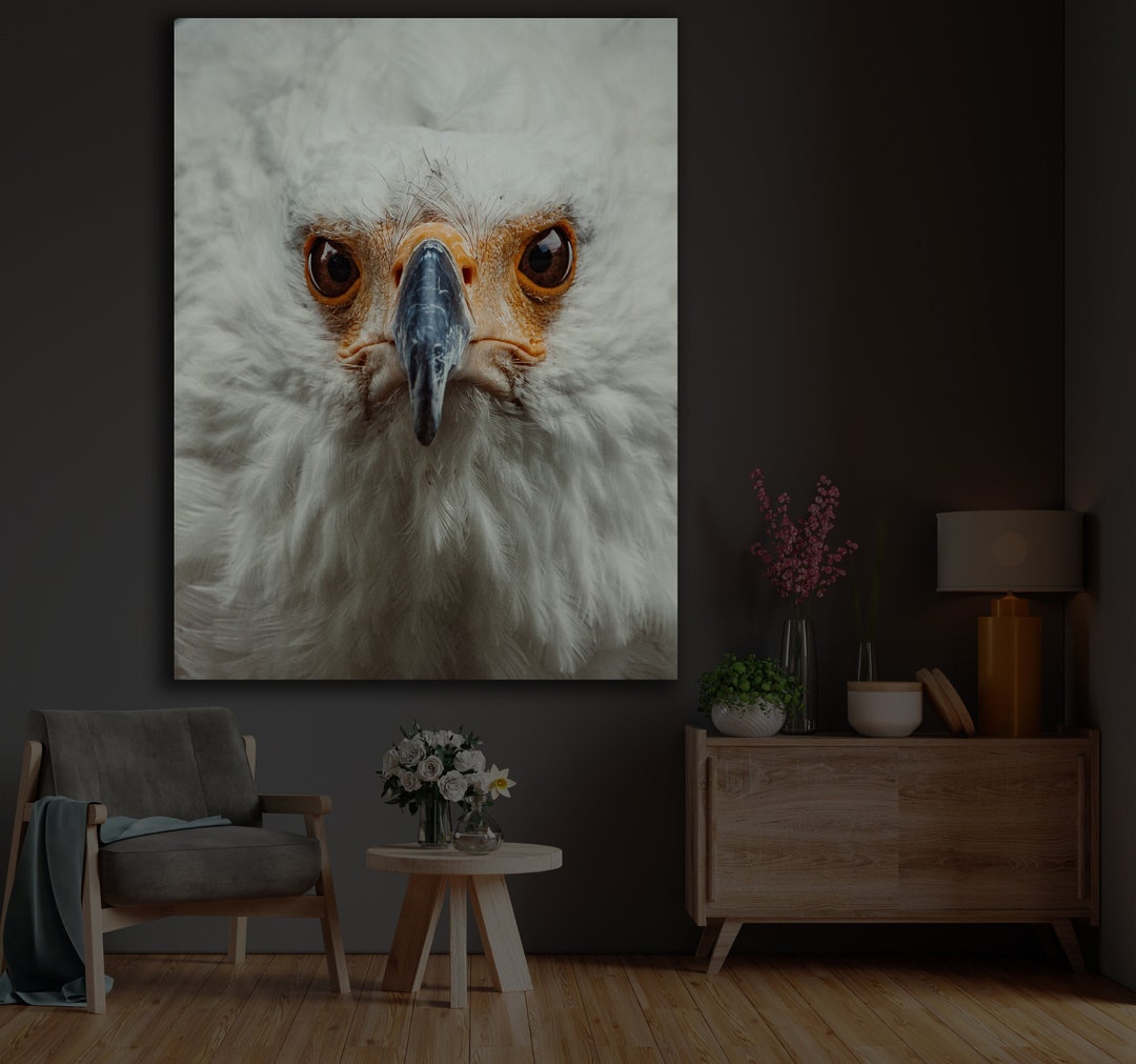 Sharp-eyed White Bald Eagle Wall Decor, Eagle Canvas Decor, Animals ...