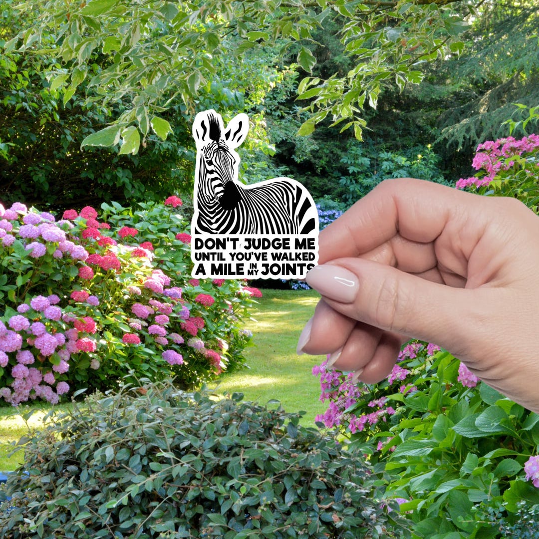EDS Awareness Zebra Sticker | Chronic Pain, Invisible Illness - Etsy