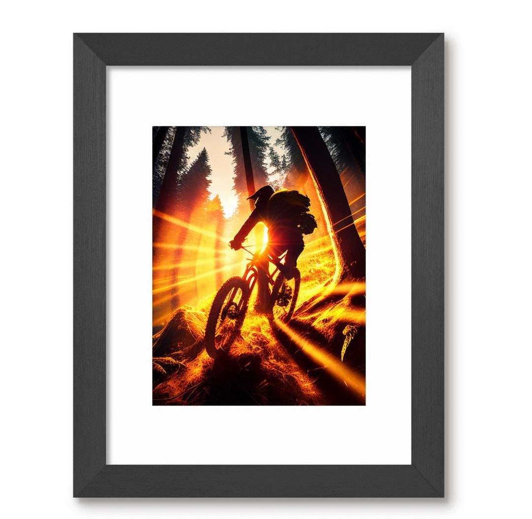 Freeriderfury Mountain Bike Trail Poster - Etsy