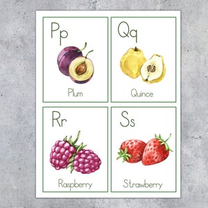Fruit and Vegetables Alphabet Flashcards. Watercolor Letter Cards. Kids ...