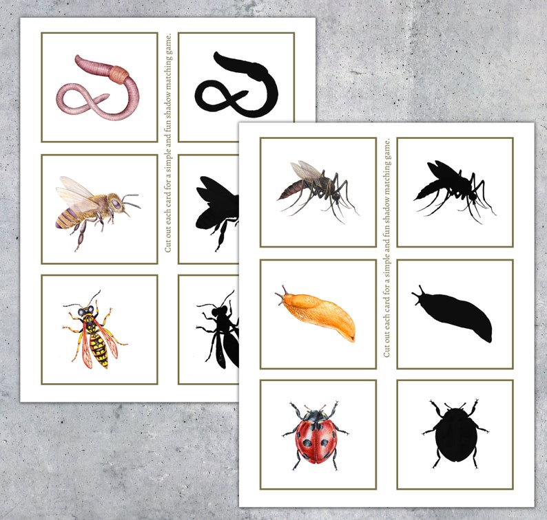 MINIBEASTS Shadow Matching Cards. Toddler Montessori Printable. Instant ...