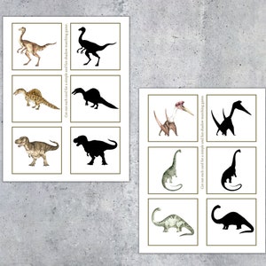 DINOSAURS Shadow Matching Cards. Toddler Montessori Printable. INSTANT ...