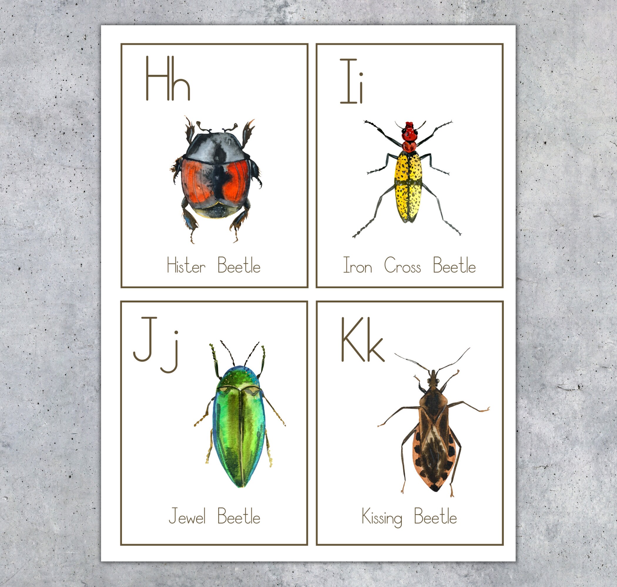 BEETLES Alphabet Flashcards. Watercolor Letter Cards. Kids Printable ...