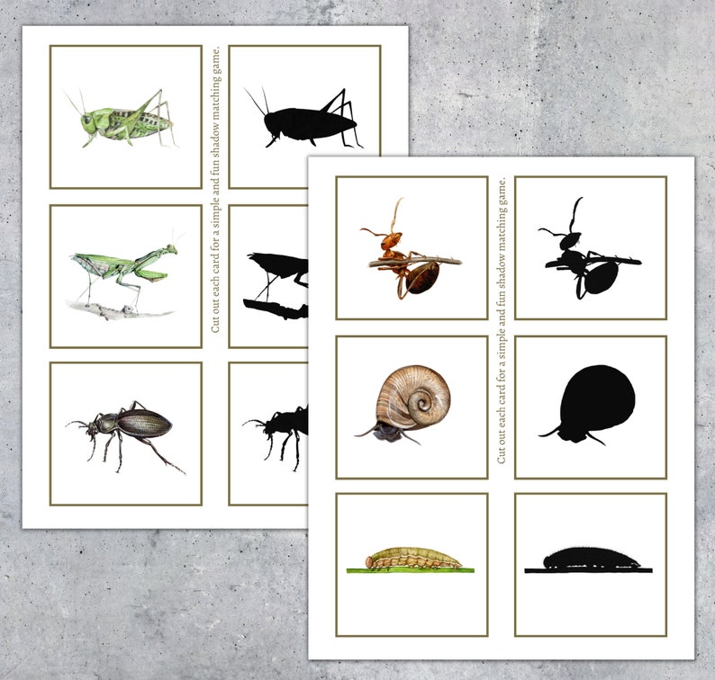 MINIBEASTS Shadow Matching Cards. Toddler Montessori Printable. Instant ...