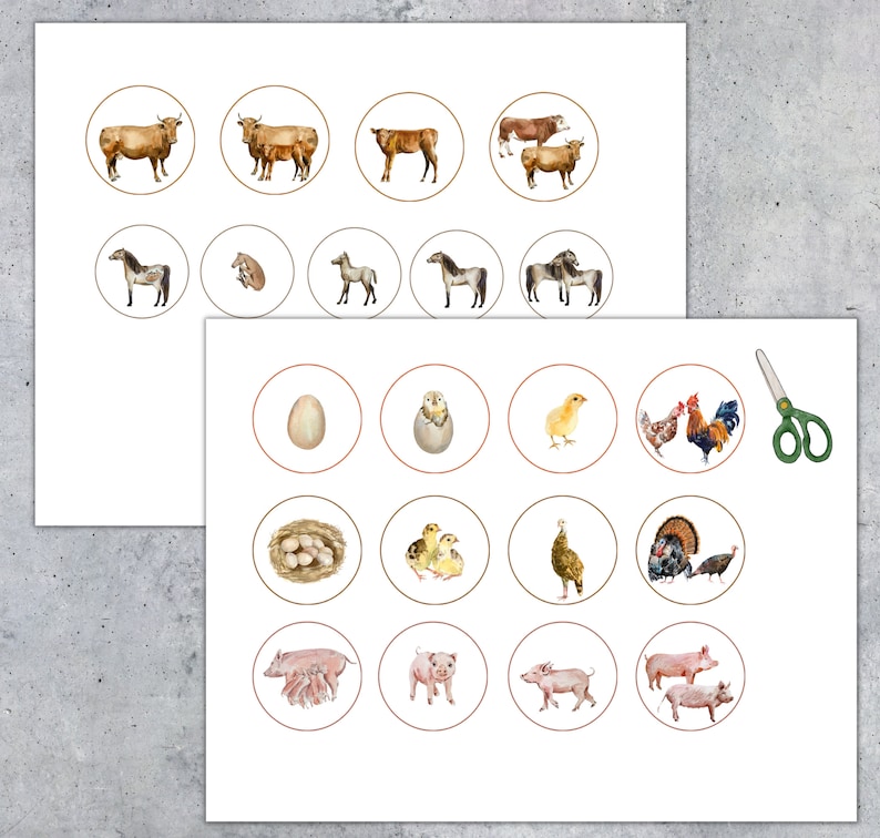 FARM ANIMALS Life Cycle Printable 5x7" Flashcards and Matching ...