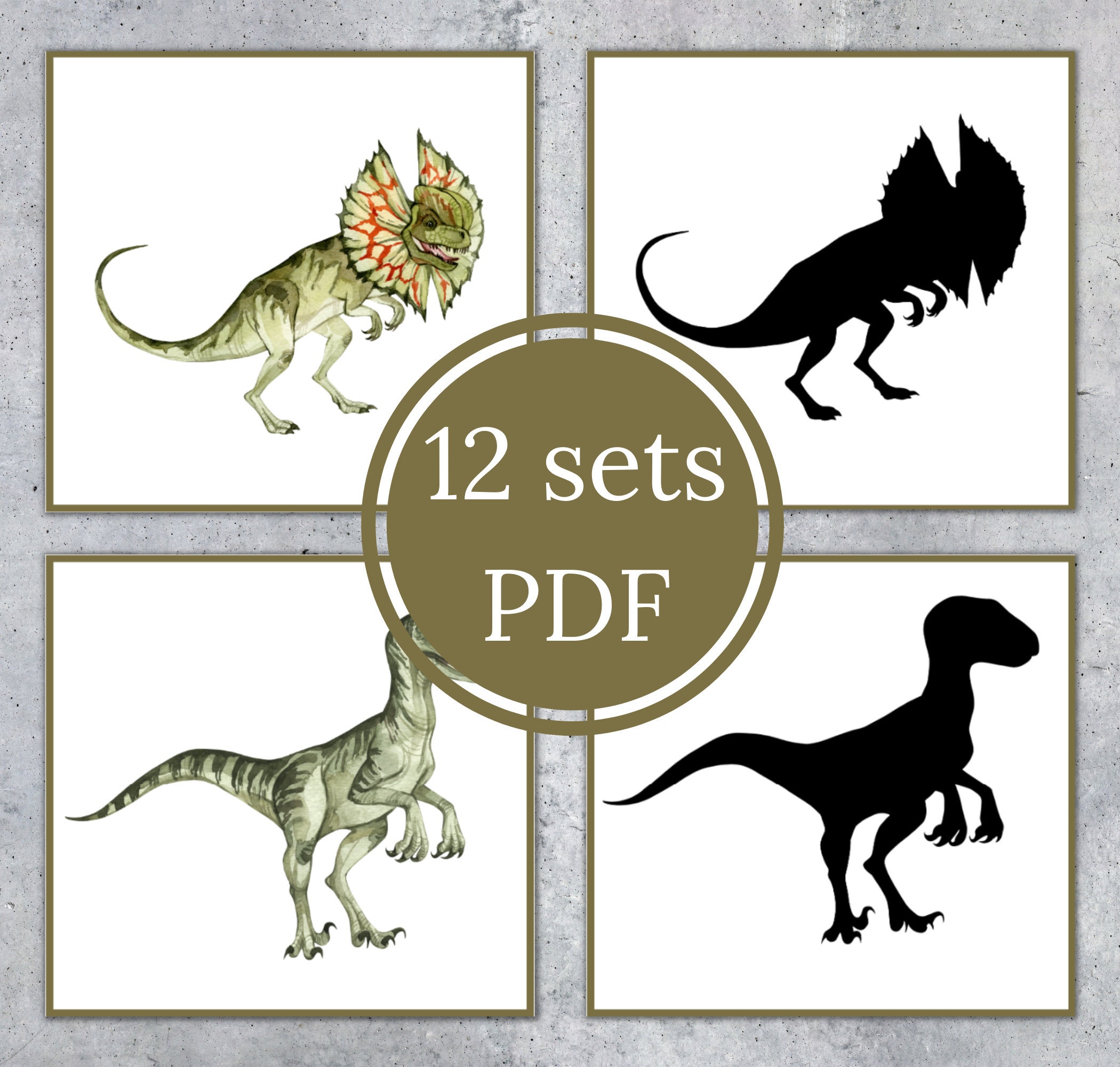 DINOSAURS Shadow Matching Cards. Toddler Montessori Printable. INSTANT ...
