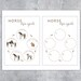 FARM ANIMALS Life Cycle Printable 5x7 Flashcards and Matching ...