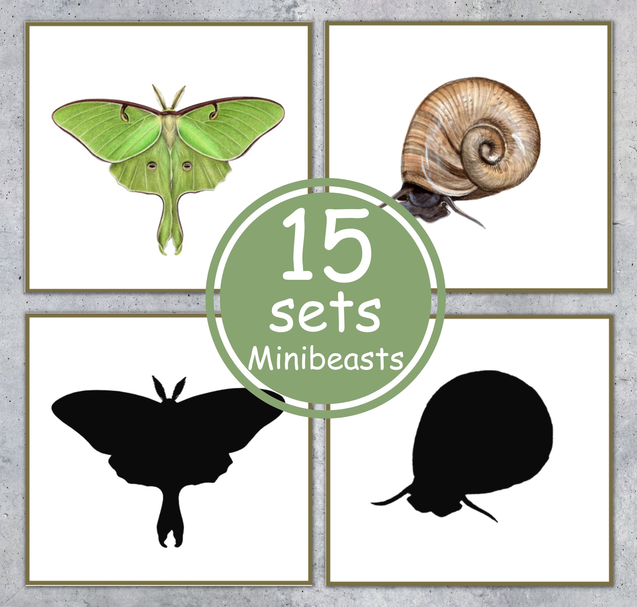 MINIBEASTS Shadow Matching Cards. Toddler Montessori Printable. Instant ...