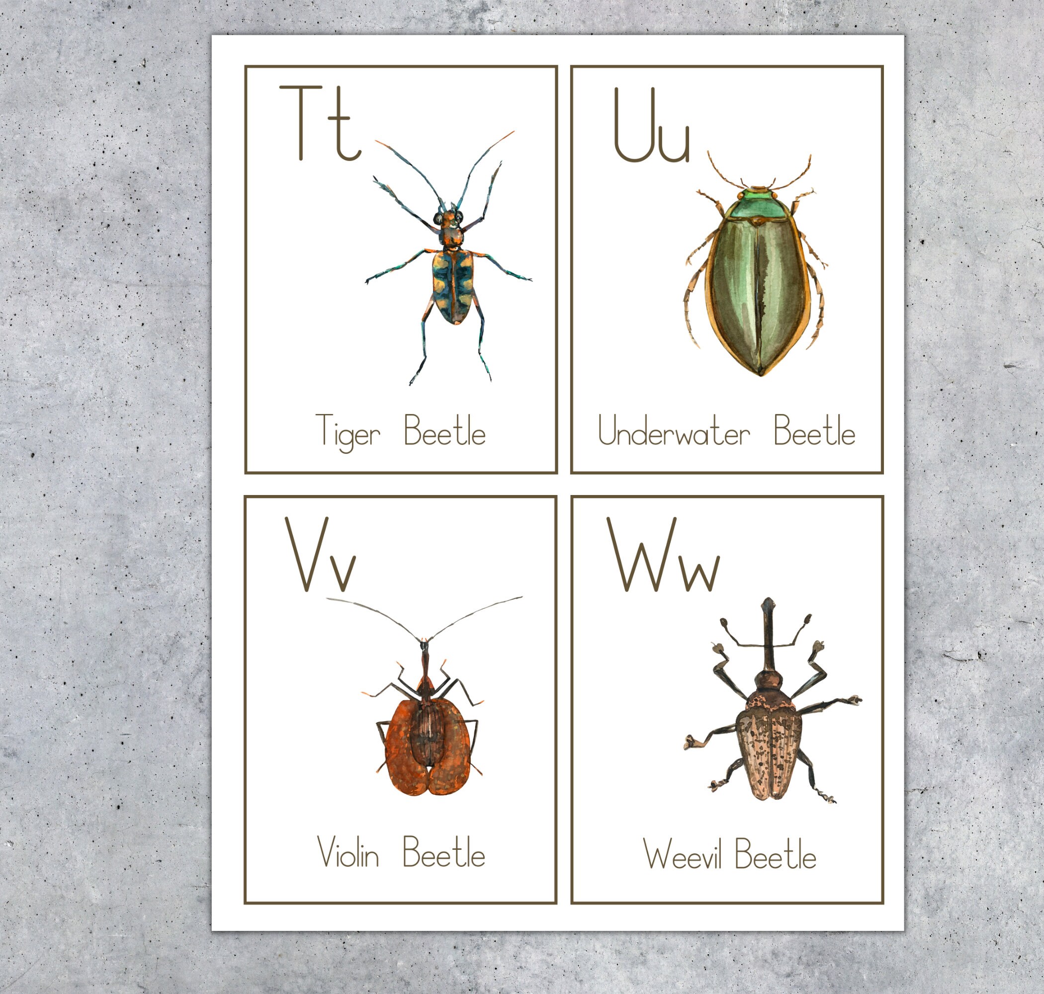 BEETLES Alphabet Flashcards. Watercolor Letter Cards. Kids Printable ...
