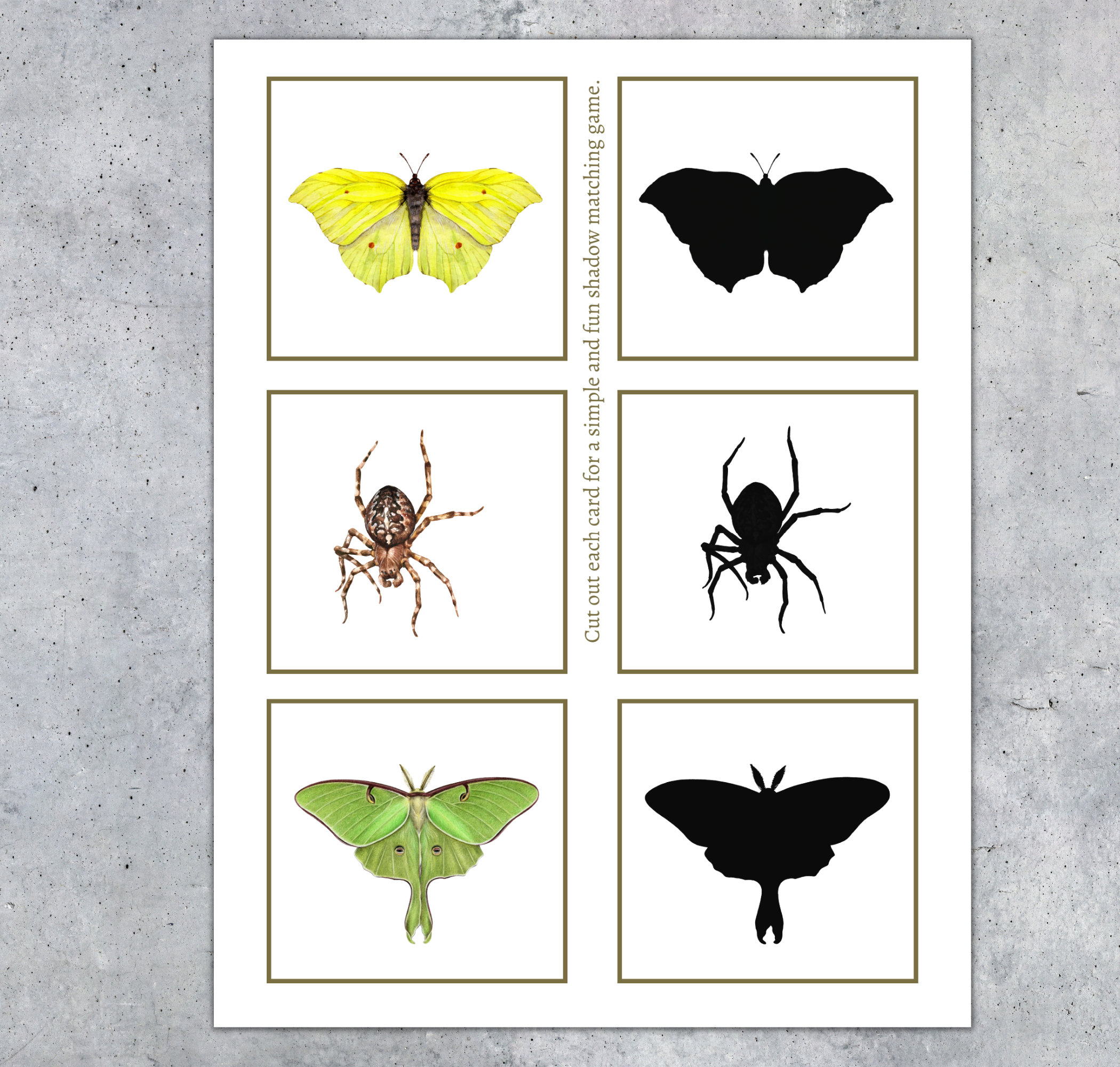 MINIBEASTS Shadow Matching Cards. Toddler Montessori Printable. Instant ...