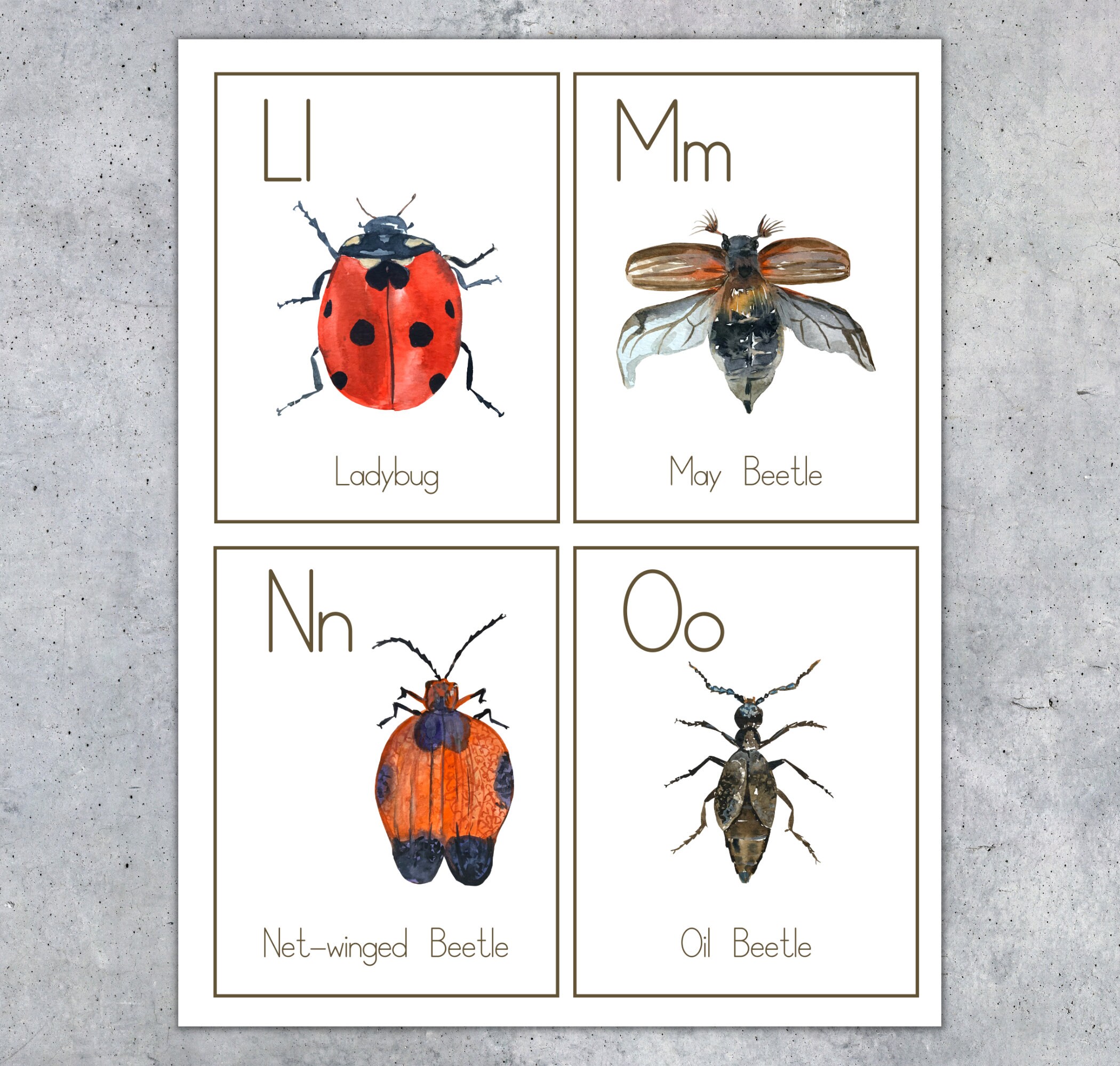 BEETLES Alphabet Flashcards. Watercolor Letter Cards. Kids Printable ...