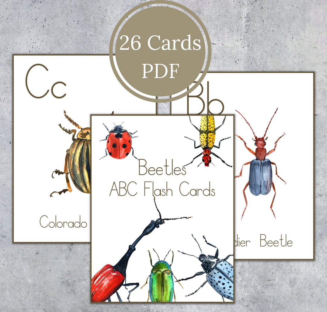 BEETLES Alphabet Flashcards. Watercolor Letter Cards. Kids Printable ...
