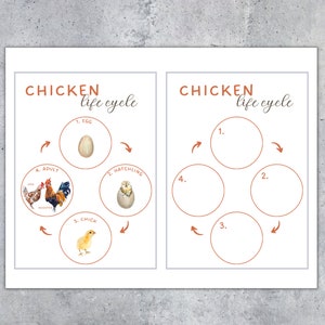 FARM ANIMALS Life Cycle Printable 5x7 Flashcards and Matching ...