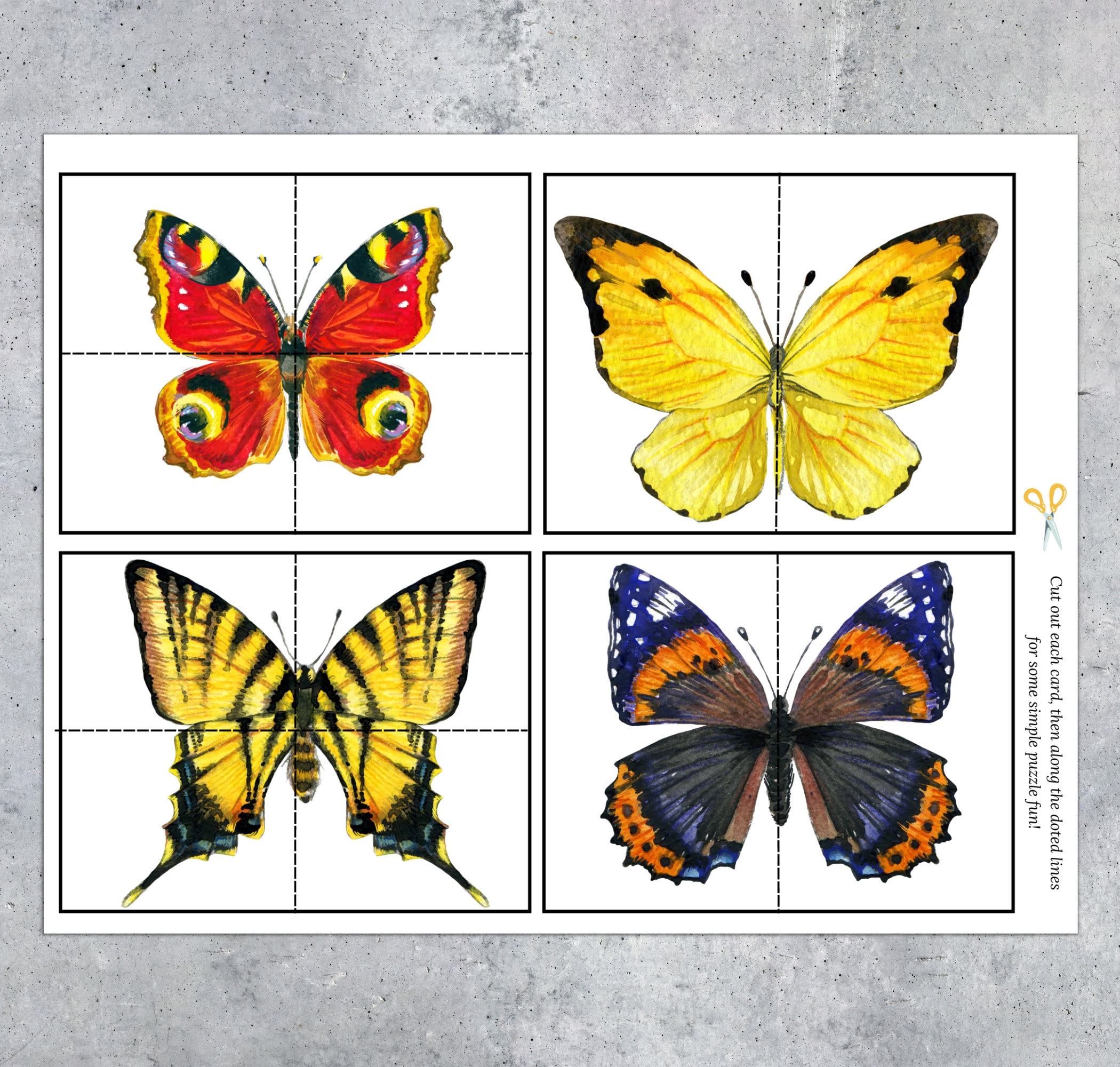 Butterfly Matching Card Game, Symmetry Puzzle, Toddler Preschool ...