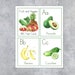 Fruit and Vegetables Alphabet Flashcards. Watercolor Letter Cards. Kids ...