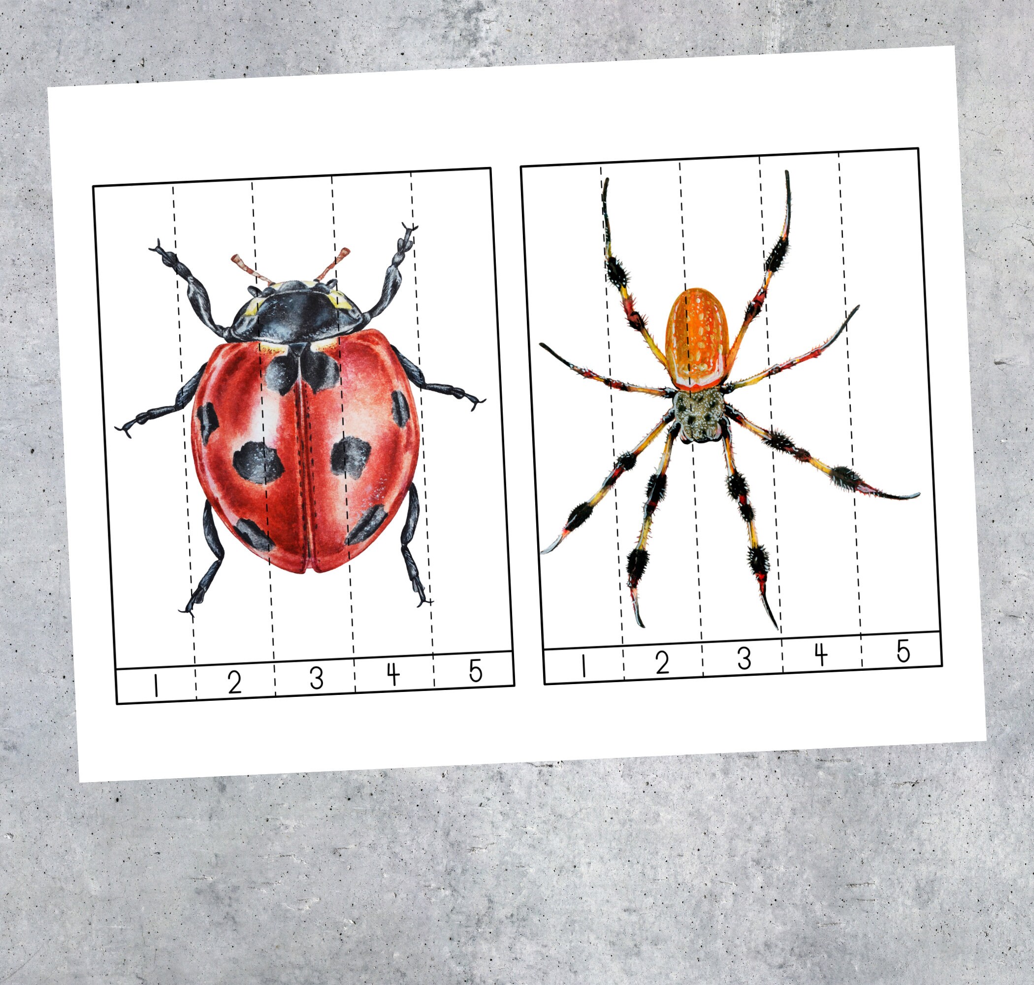 Minibeasts Number Sequence Puzzles Printable, Montessori Fruit and ...