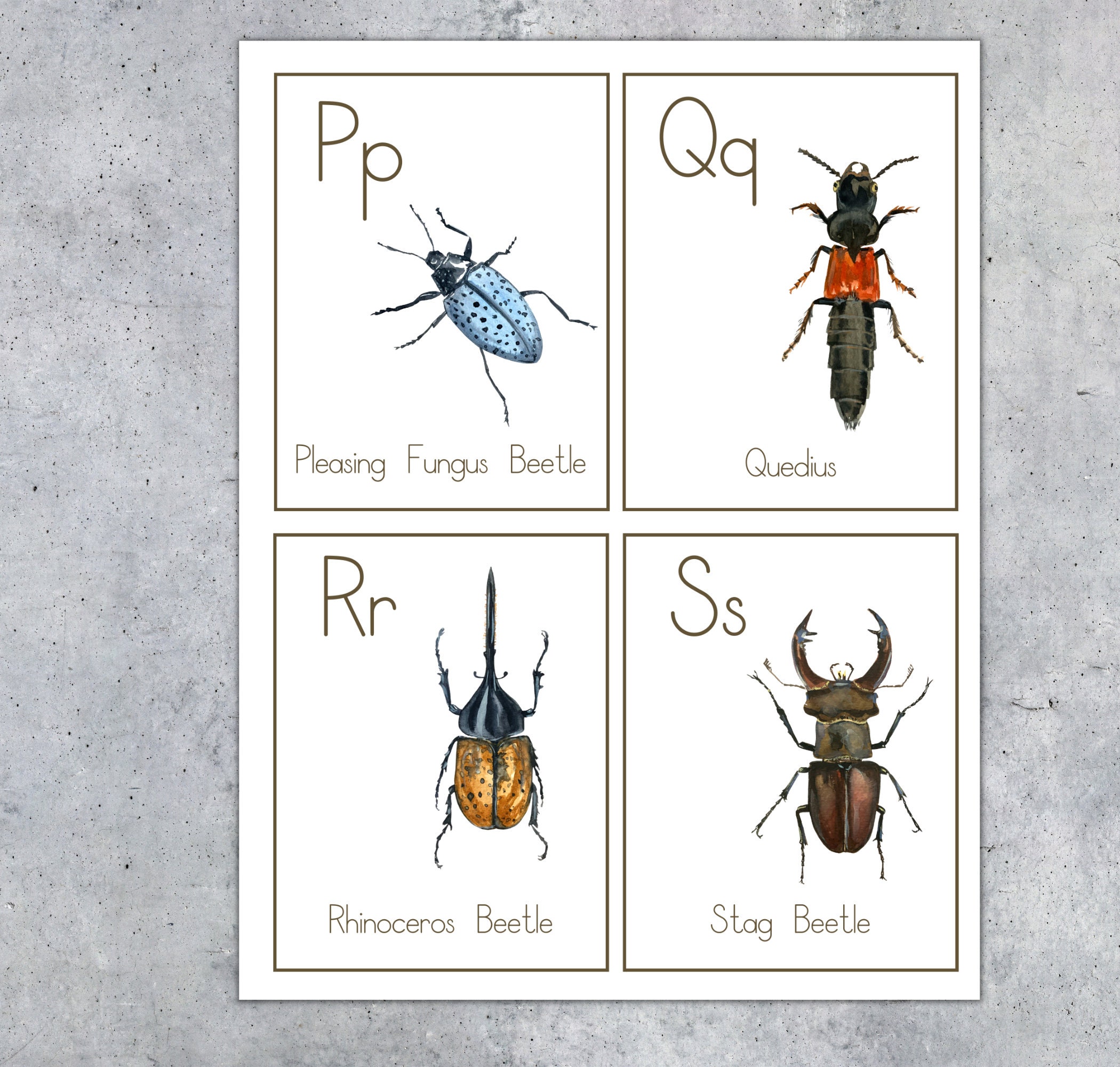 BEETLES Alphabet Flashcards. Watercolor Letter Cards. Kids Printable ...