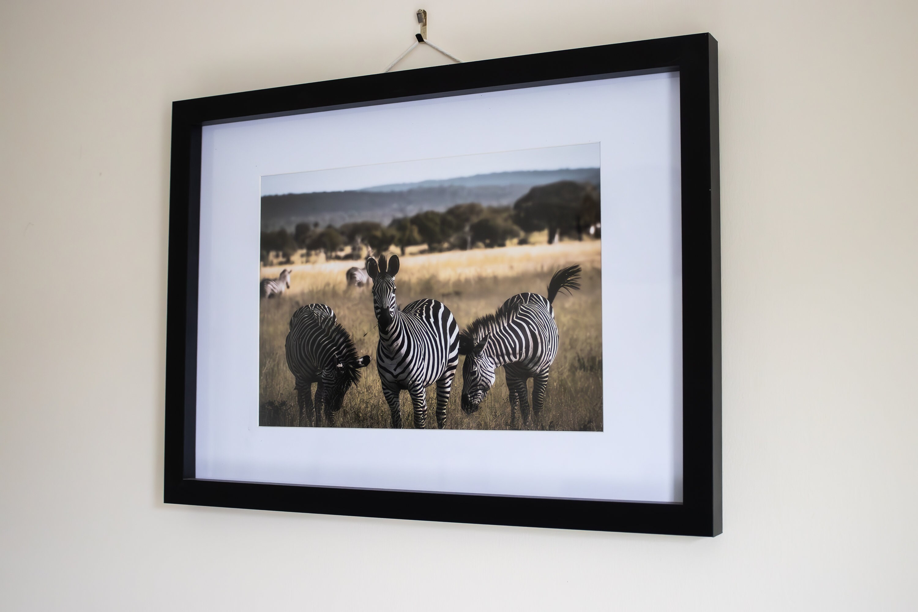 A4 Zebra Print - Etsy