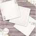 Complete Collection/wedding Digital Paper/color Champagne Digital Paper ...