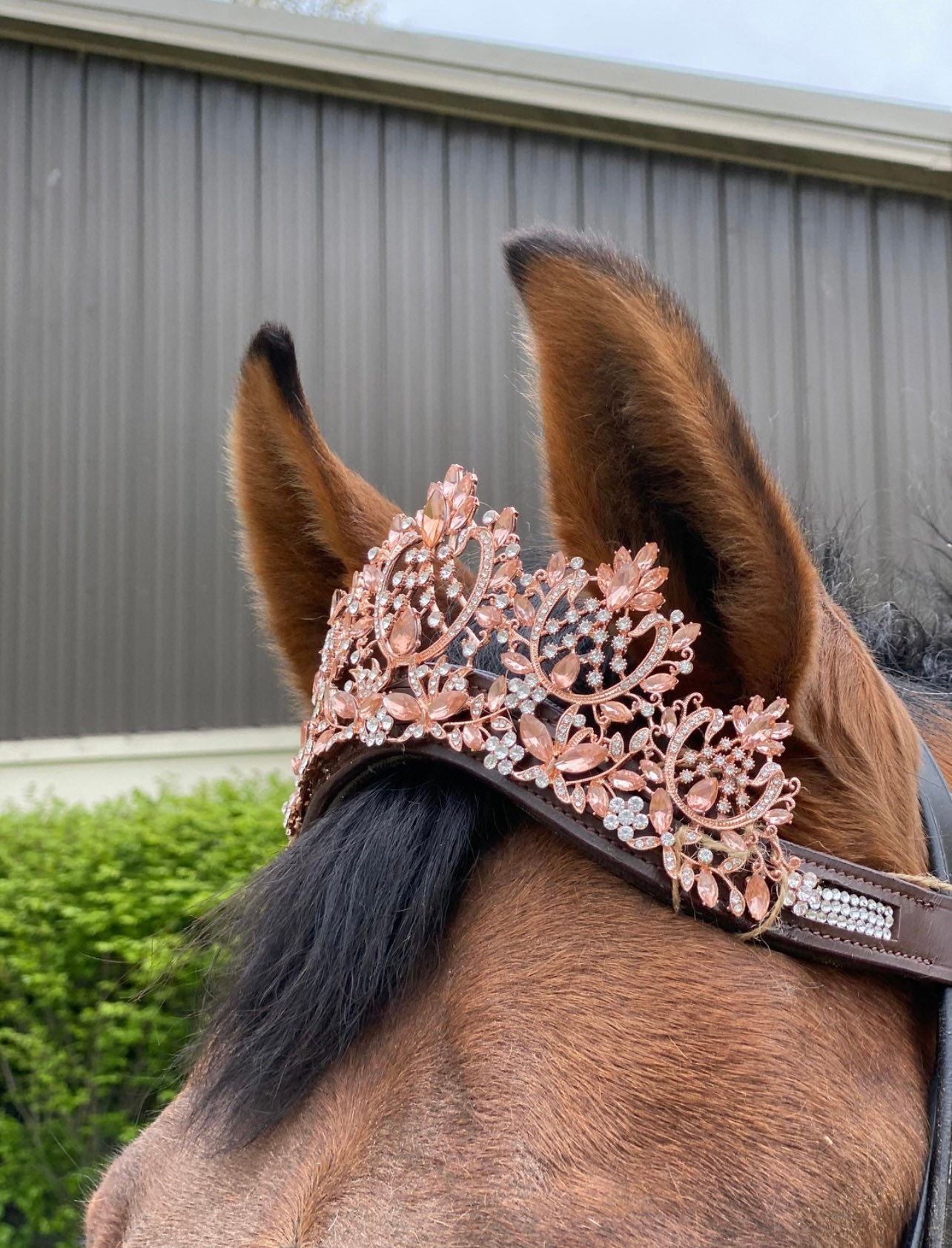 Custom Crown Browband - Etsy