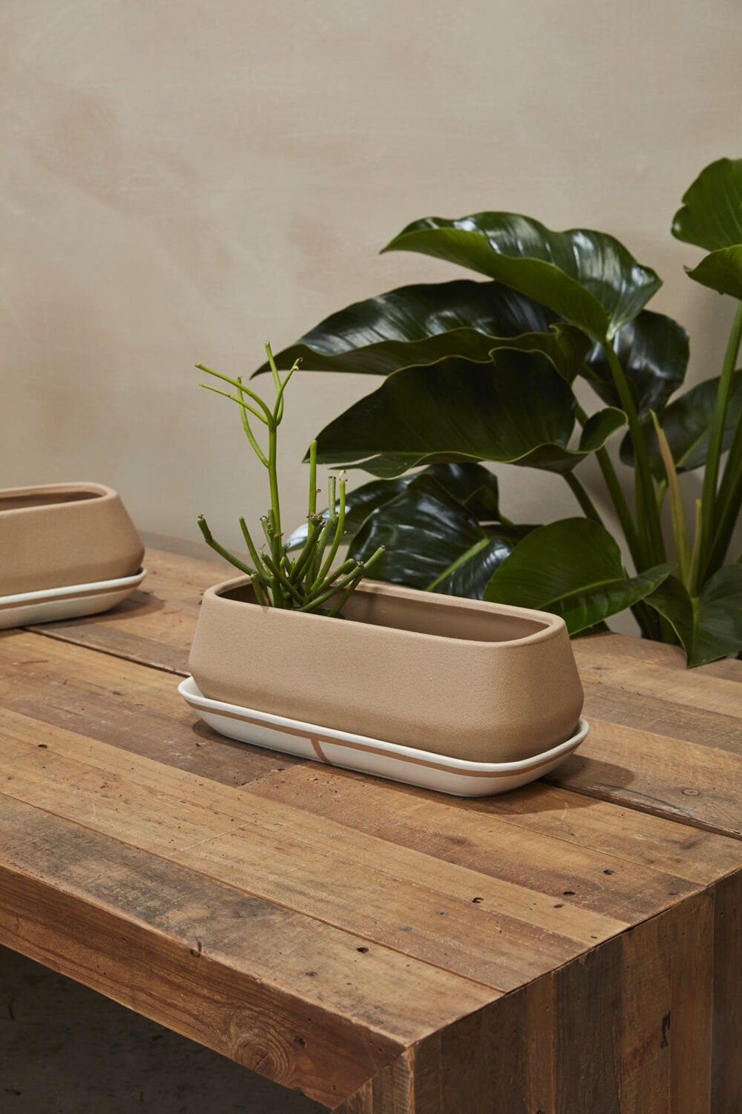 Long Pot Saucer coco Brown Planter Pot for Plants and Home Decor - Etsy