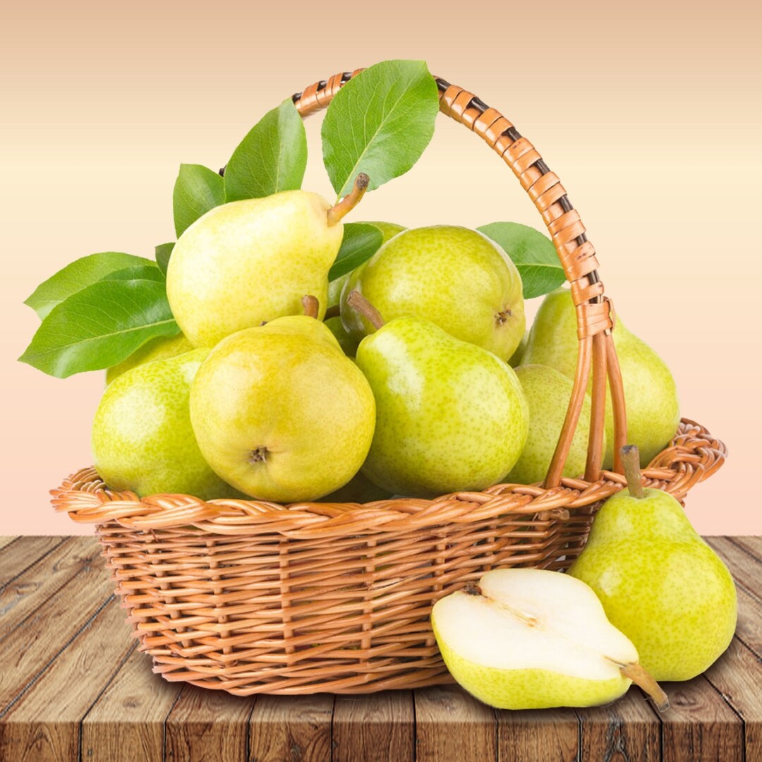 Organic Fresh Winter Pear Fruit, Fresh Winter Pear From Our Own Garden ...