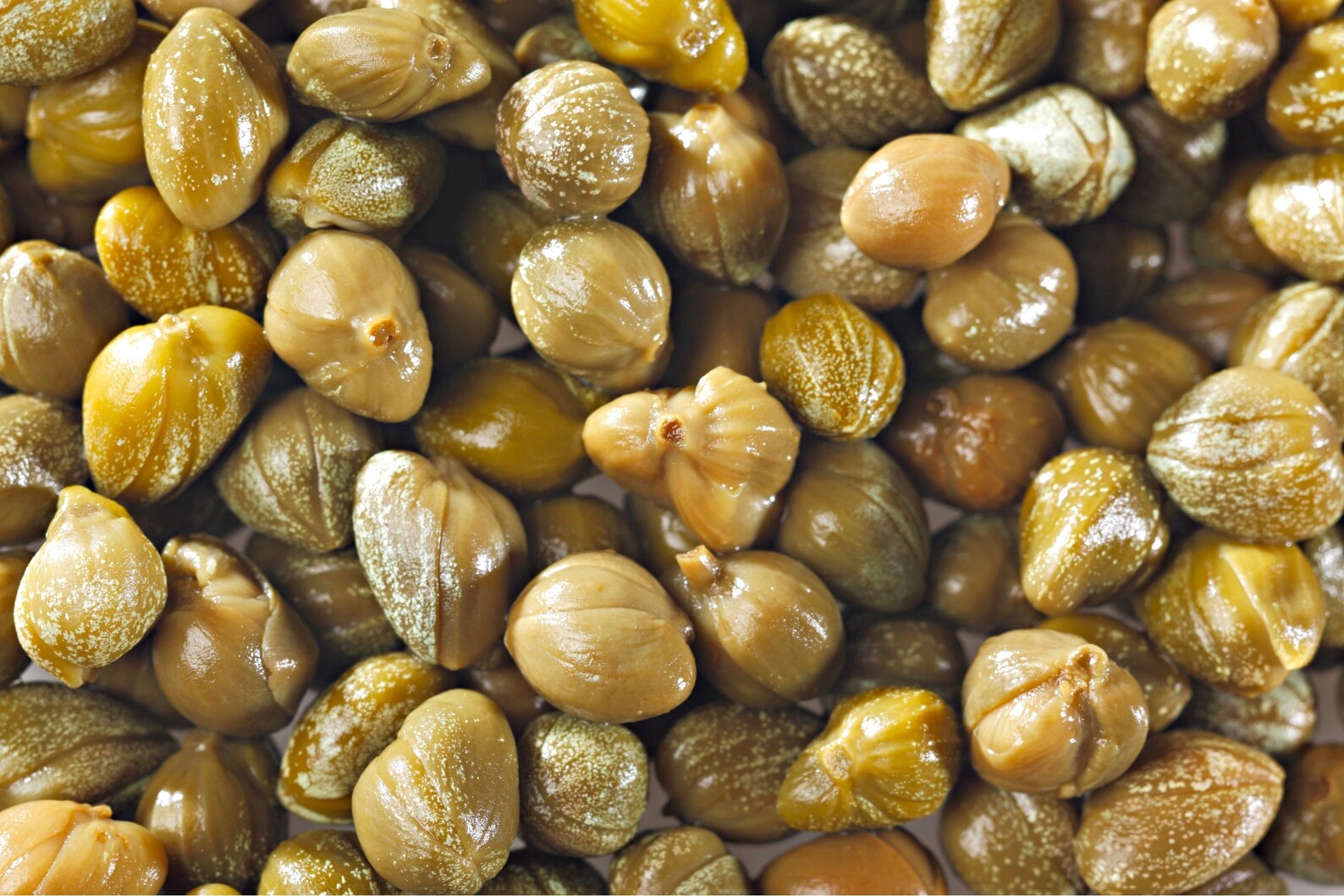 Pickled Caper Buds, Fresh Pickled Capers, Canned Capers in a Glass Jar ...