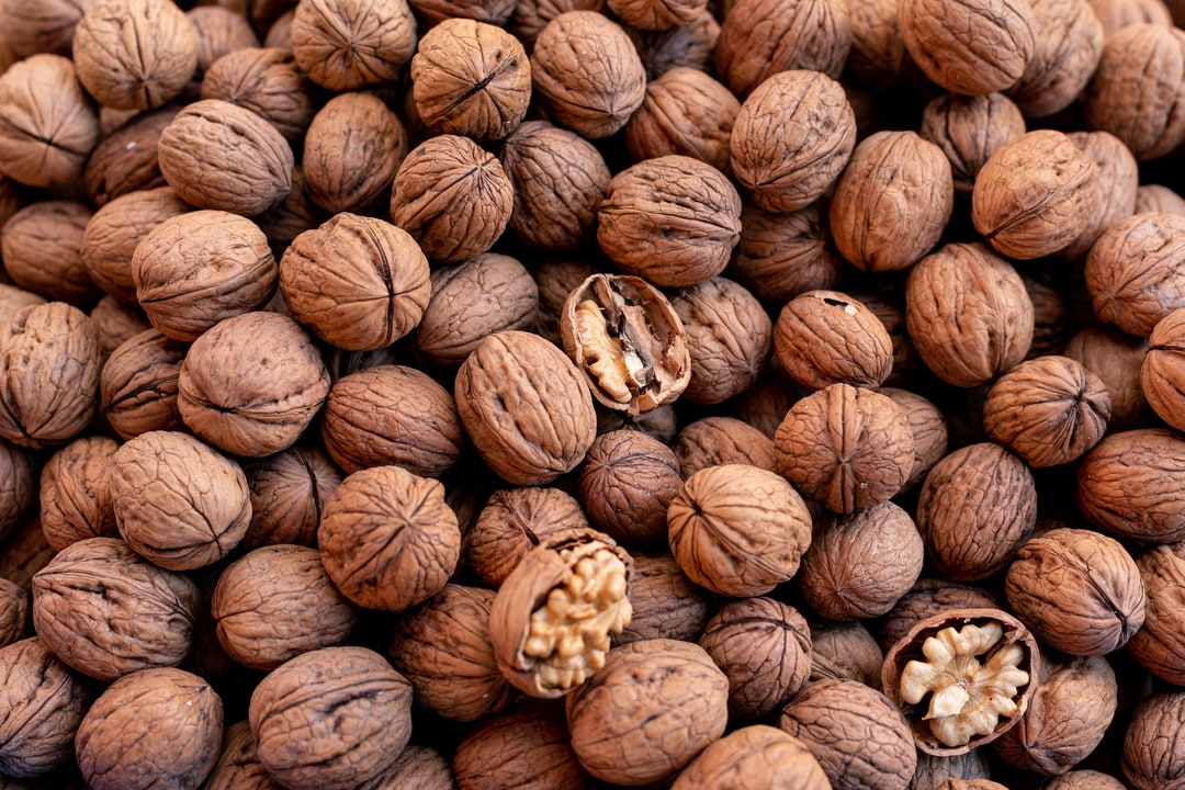 Walnuts in Shell, Dried Walnuts, Ready to Eat, Natural and Fresh Nuts ...
