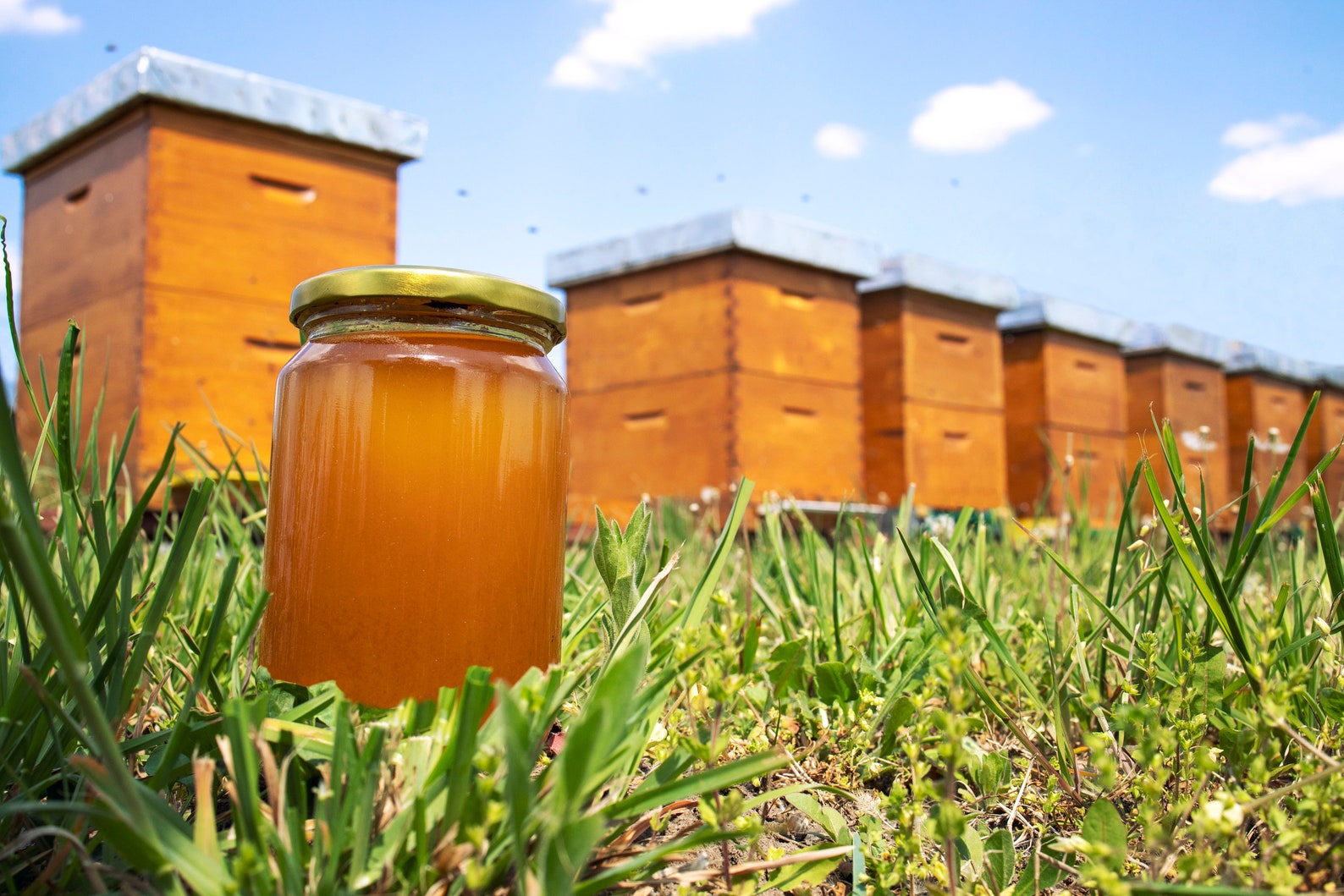 Organic Flower Honey, Pure Strained Flower Honey, Village Product ...