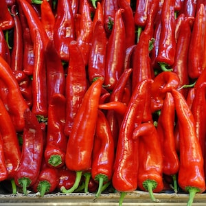 Organic Fresh Red Capia Pepper, Red Capia Pepper From Our Own Garden ...