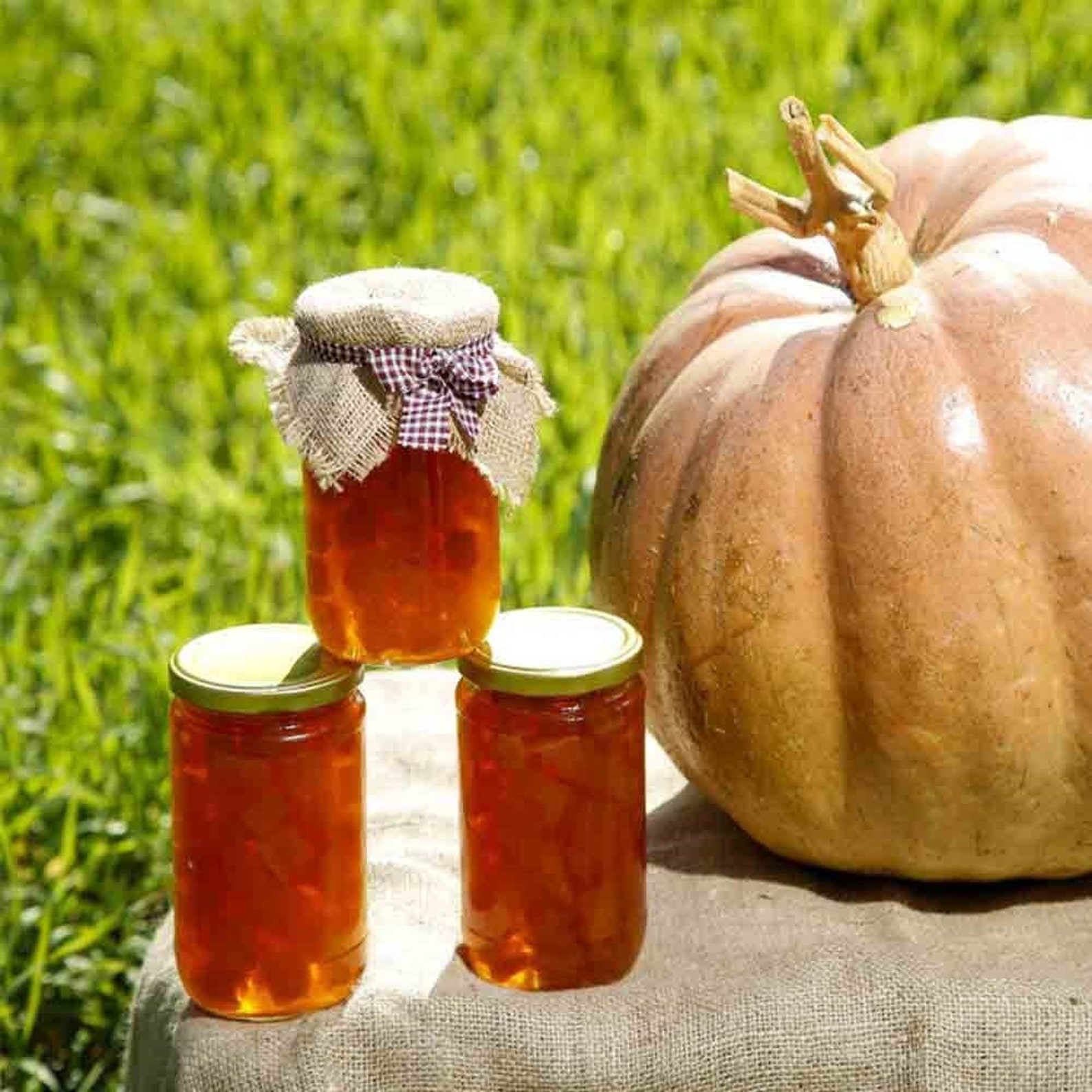 Organic Pumpkin Jam, Homemade Pure Pumpkin Jam, Village Product ...