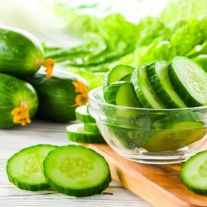 Organic Fresh Cucumber, Cucumber Fruit Picked From the Branch, Picked ...