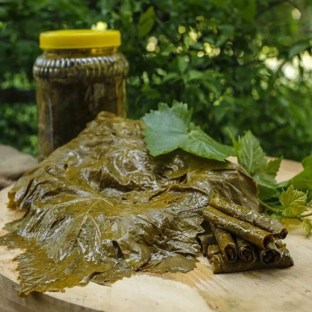 Pickled Vine Leaves, Grape Leaves for Stuffing, Traditional Products ...