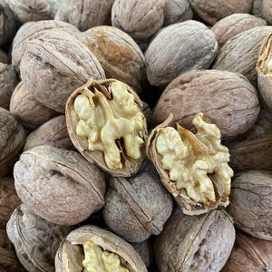 Walnuts in Shell, Dried Walnuts, Ready to Eat, Natural and Fresh Nuts ...
