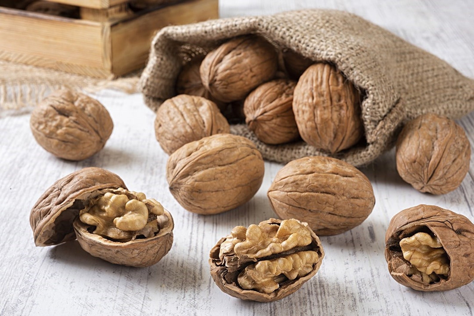Walnuts in Shell, Dried Walnuts, Ready to Eat, Natural and Fresh Nuts ...