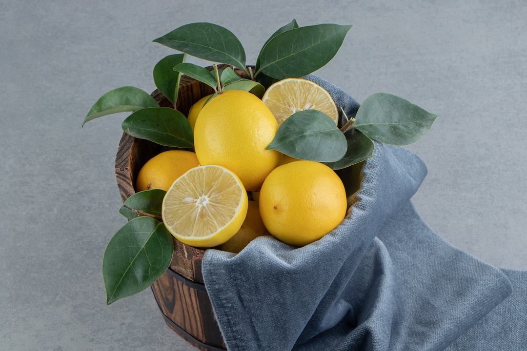 Organic Fresh Lemon Fruit, Antalya Lemon Picked From the Branch, Picked ...