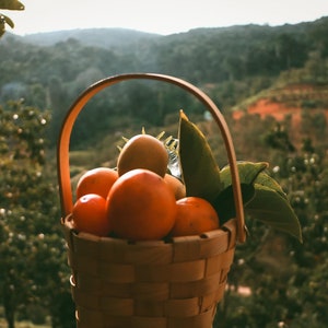 Organic Dried Sliced Persimmon, Sun Dried No Sugar Added, Fresh ...