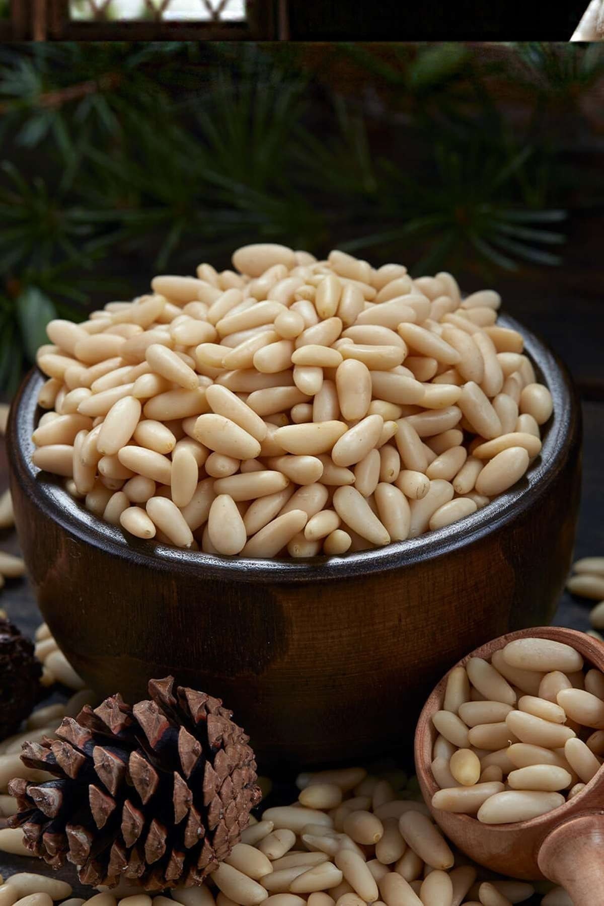 Organic Fresh Pine Nuts, Pure Pine Nuts, Village Product Authentic ...