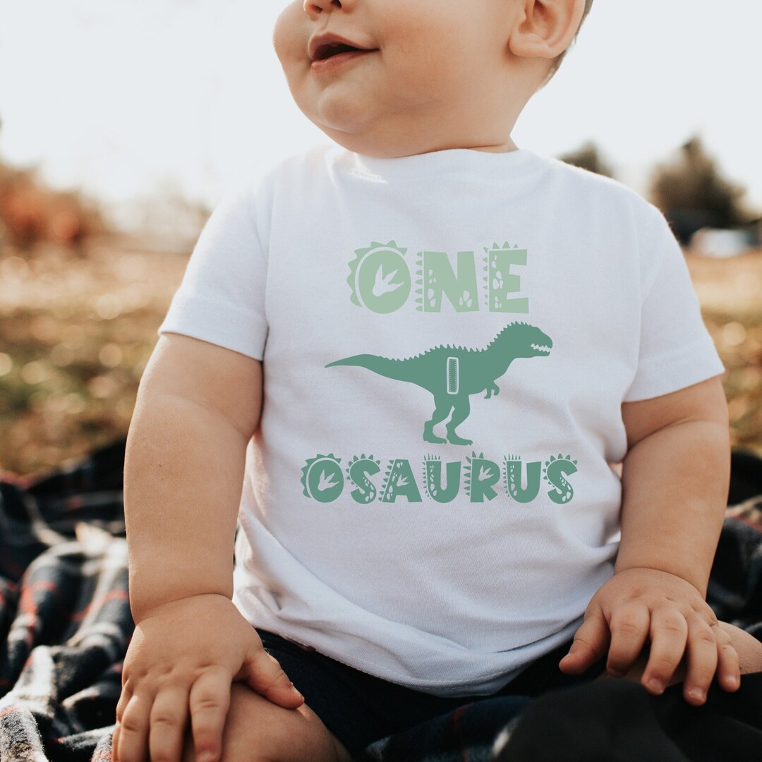 Dinosaur Matching Birthday Shirts, One-o-saurus Birthday Tee ...
