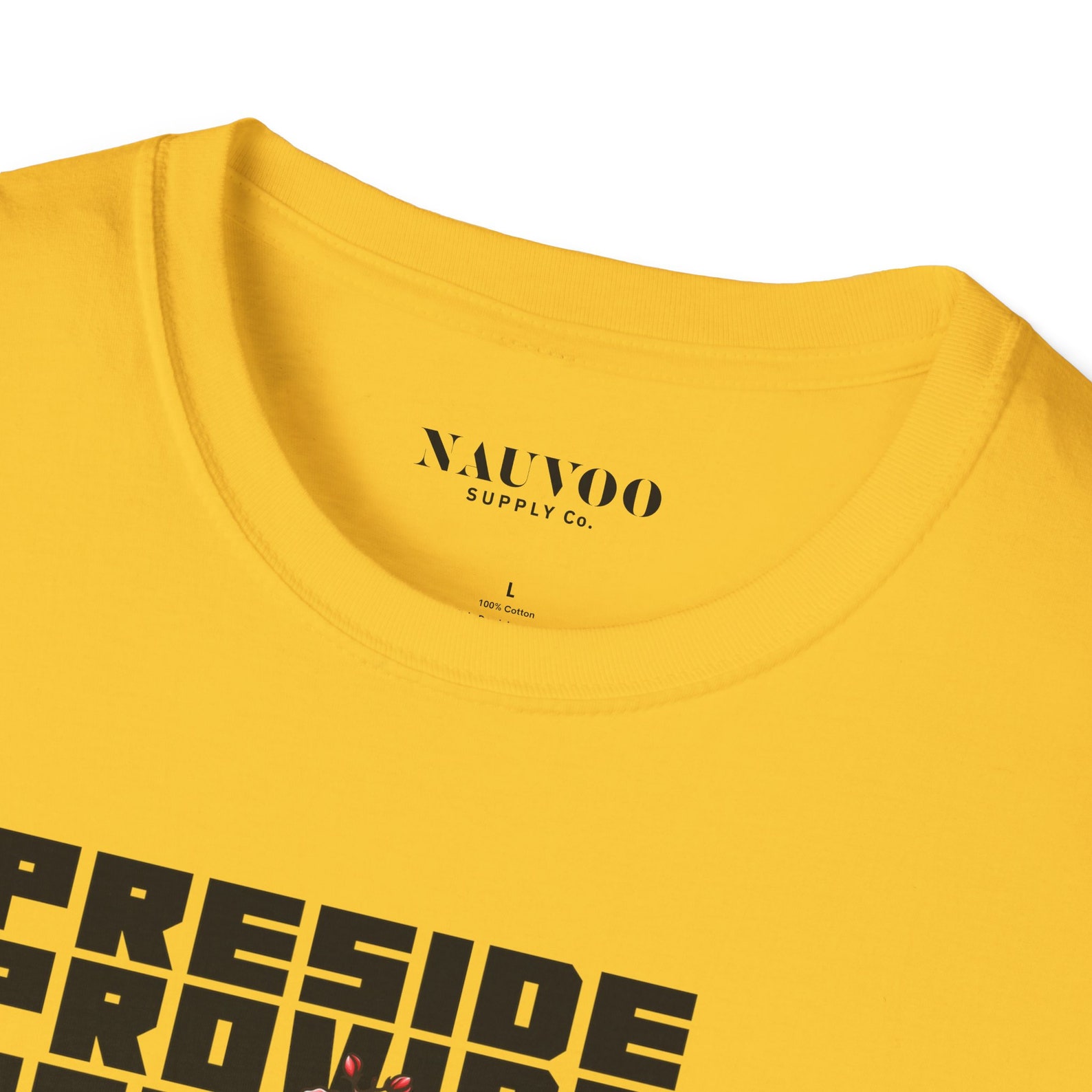 Mens Preside Provide Protect - Japanese Style Family Proclamation T ...
