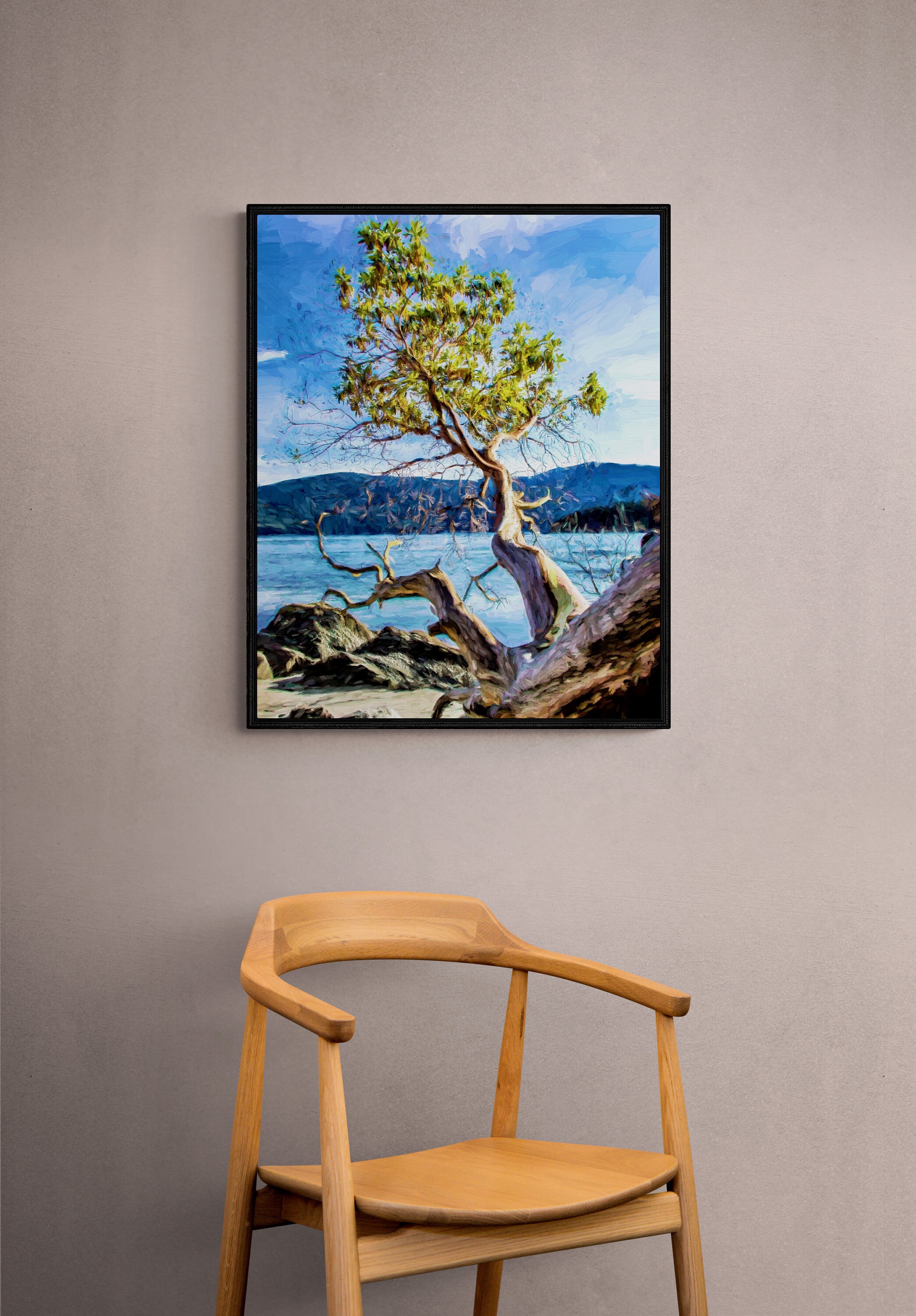 Pacific Madrone Tree Leaning Over the Waters of the San Juan Islands ...