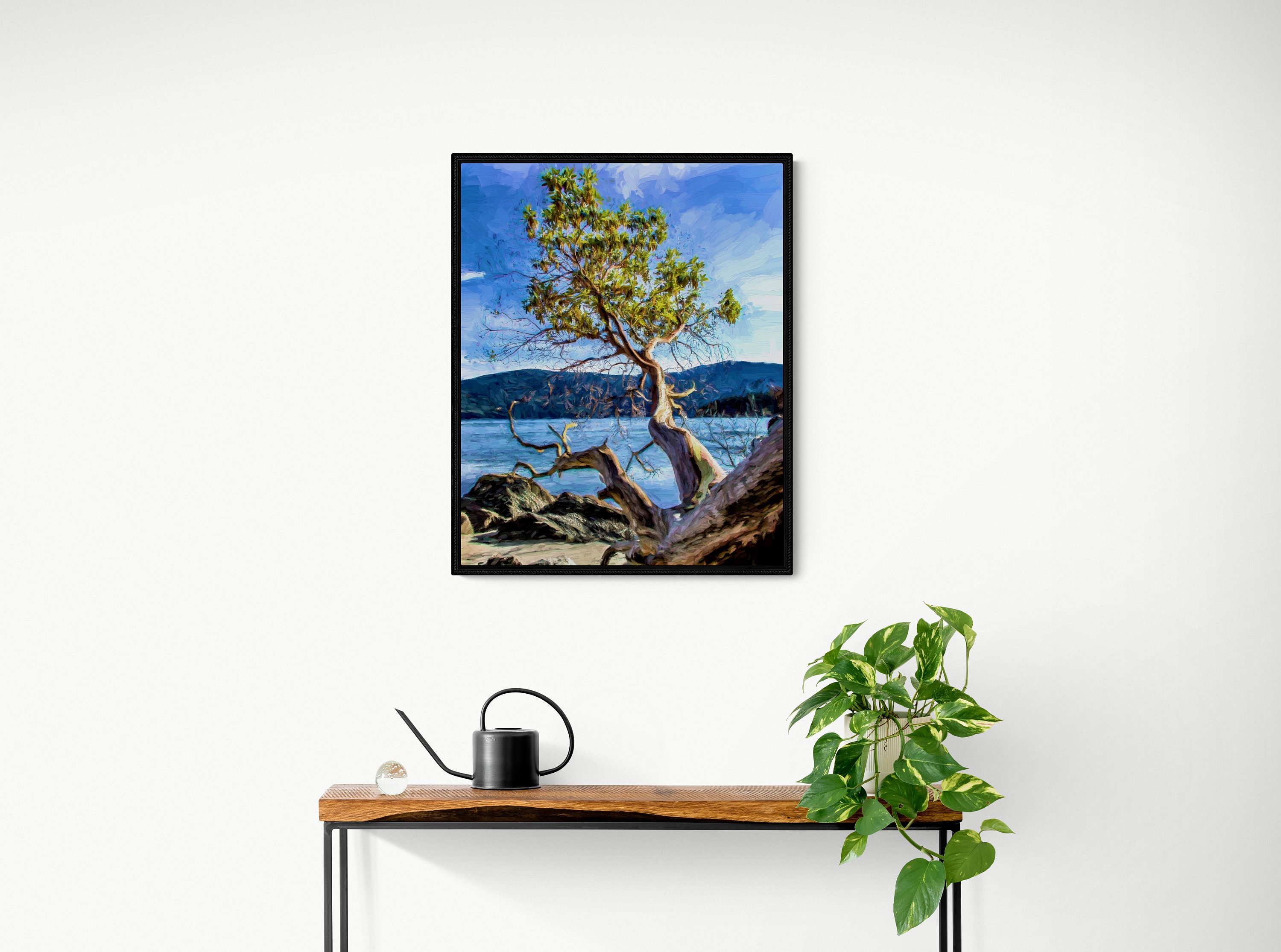 Pacific Madrone Tree Leaning Over the Waters of the San Juan Islands ...