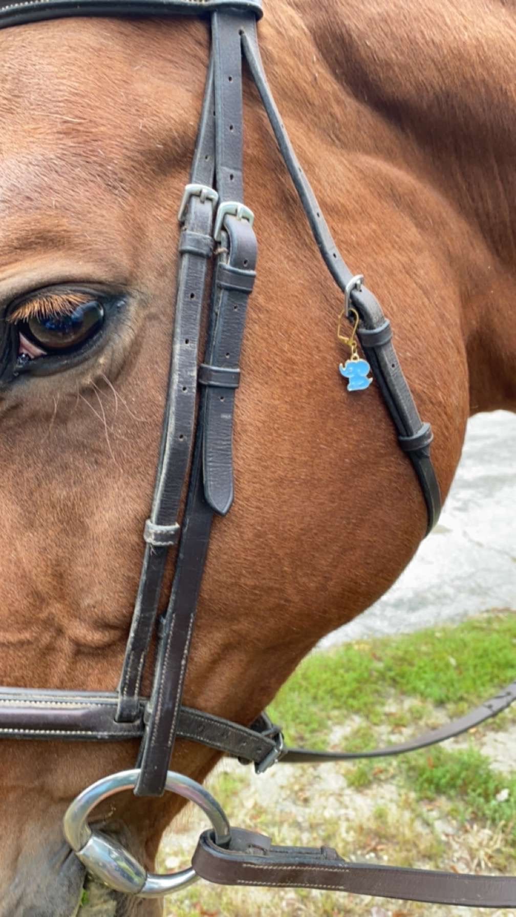 Cute Baby Animal Bridle Charm - Etsy