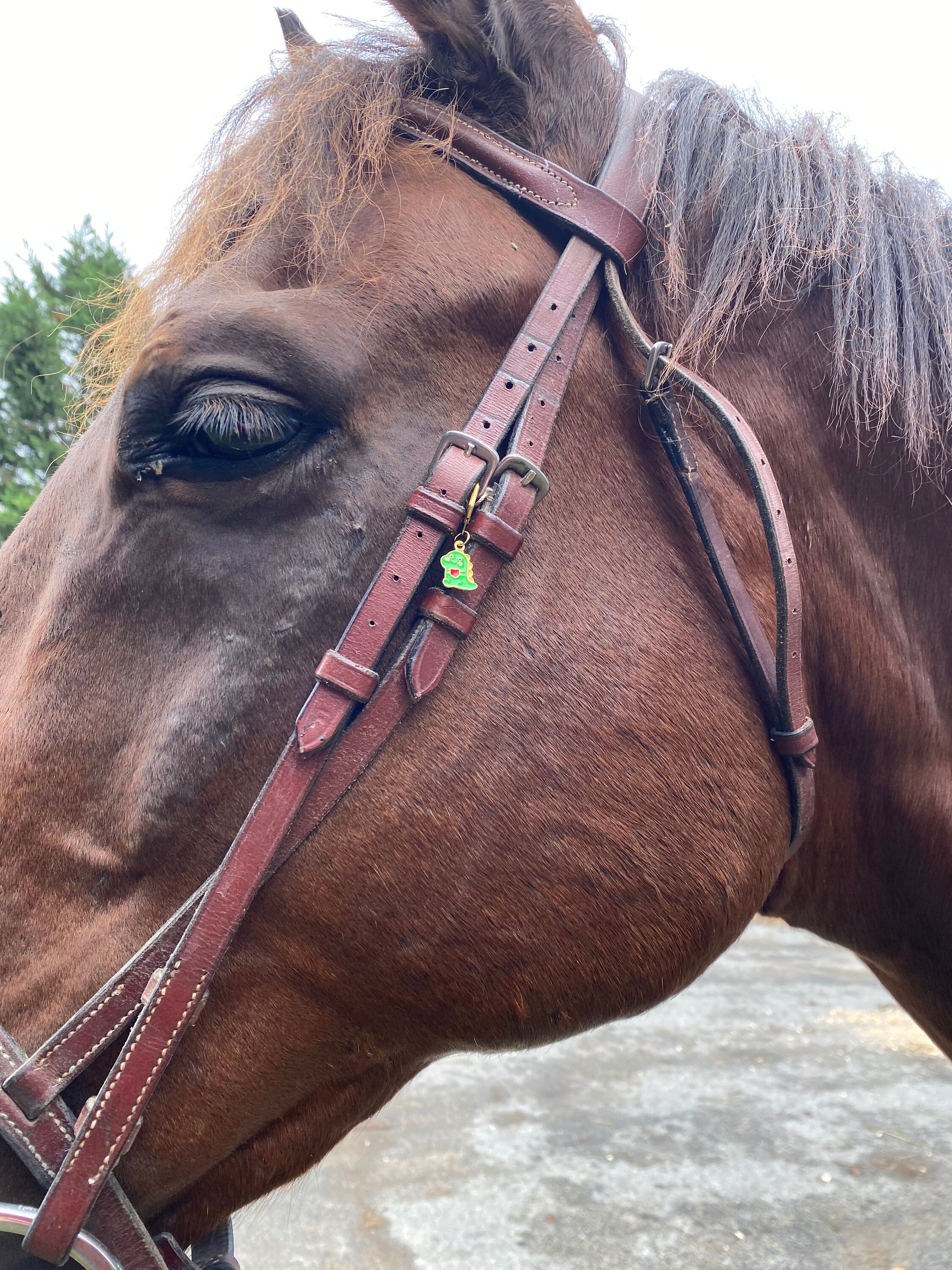 Cute Baby Animal Bridle Charm - Etsy
